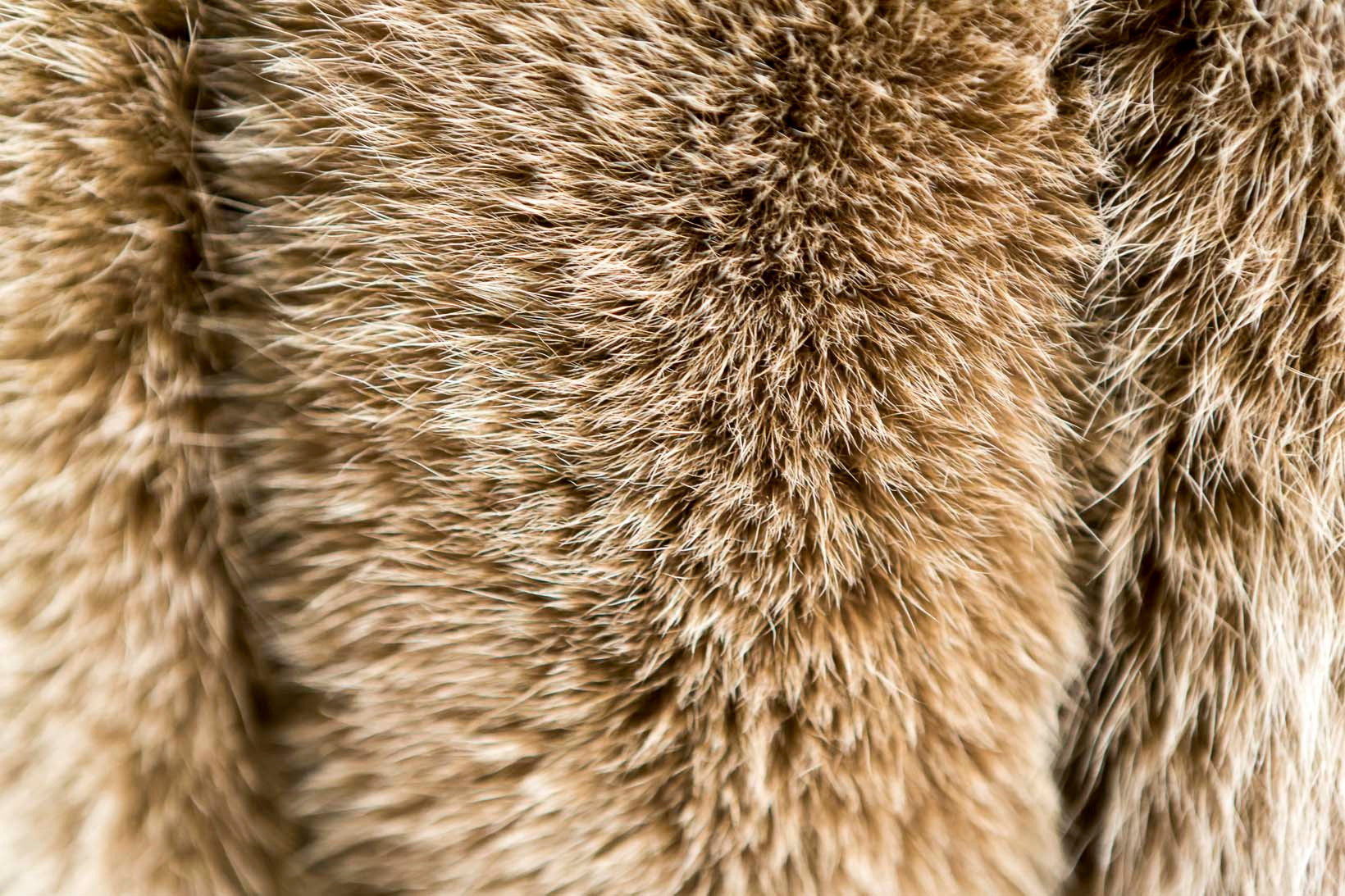 Fox Strip Pillow Stone - Adri Collection | Luxe Home Philadelphia